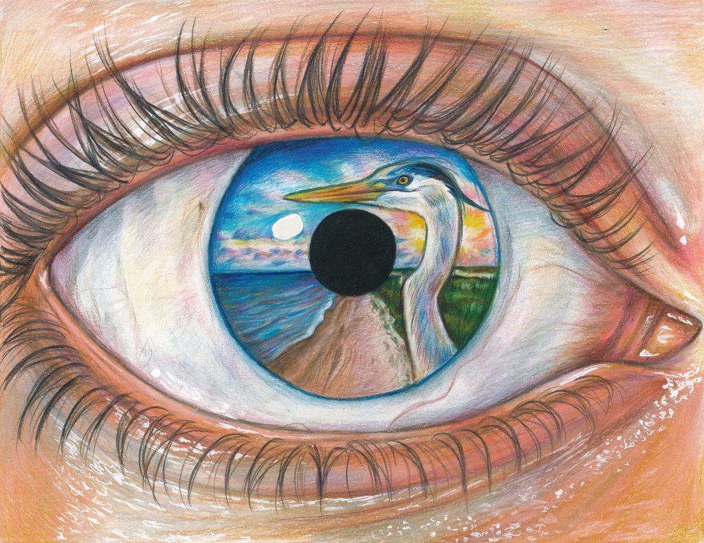 Tides of Tomorrow Art Contest Winners – Coastal Bend Bays & Estuaries ...