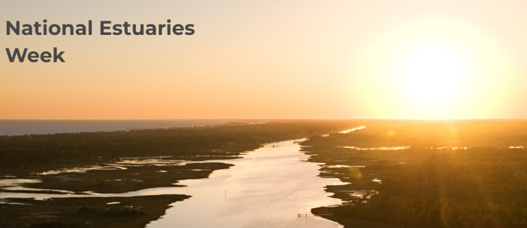 Upcoming Events – Coastal Bend Bays & Estuaries Program